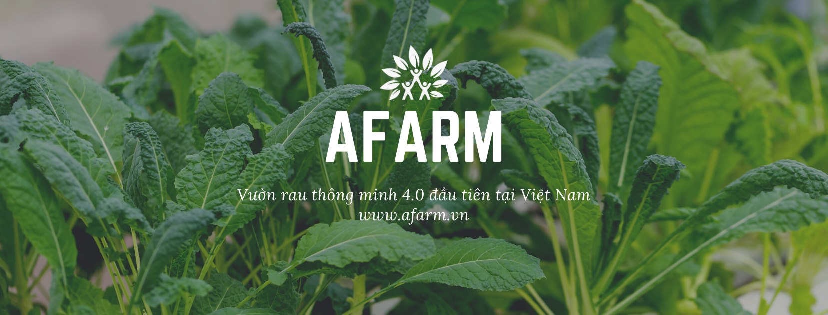 Afarm Farm On Smartphone – Trồng rau hộ Afarm, Rau sạch Afarm